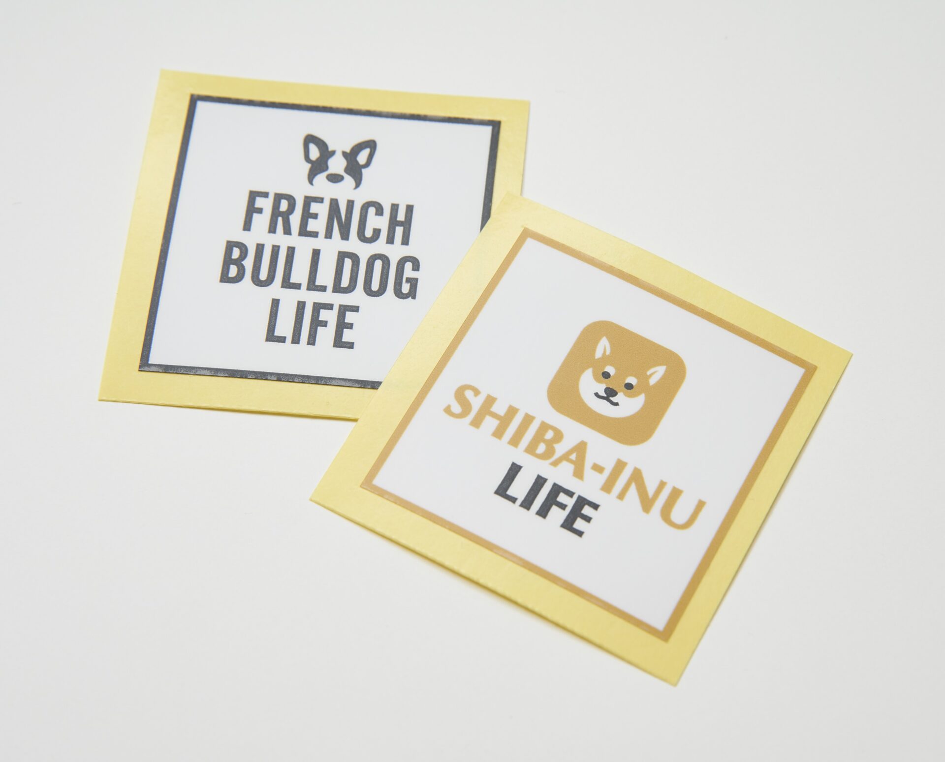 works » FRENCH BULLDOG LIFE・SHIBA-INU LIFE | The company co.,ltd | ザ ...